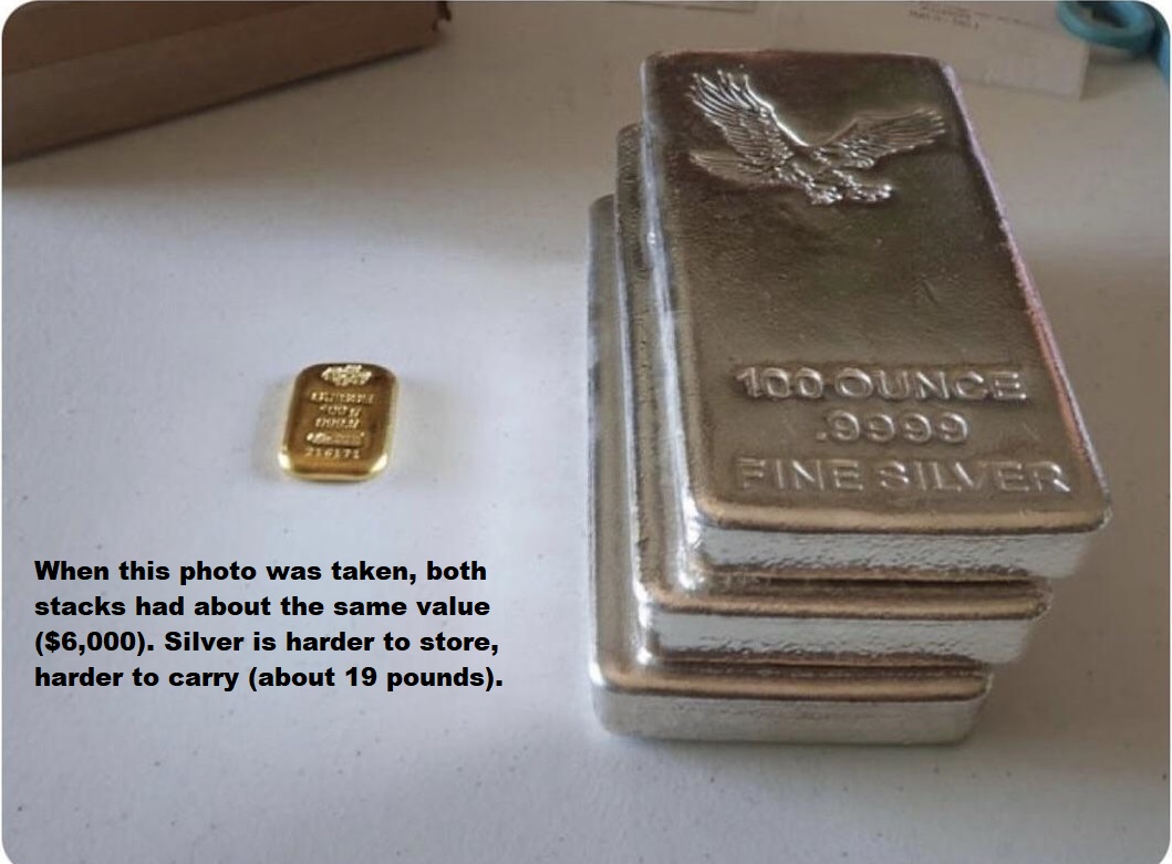 GOLD vs SILVER - BOON or BURDEN? : r/MetalsOnReddit